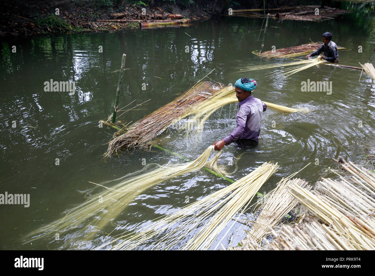 Farmers washing jute fibres at Modhukhali in Faridpur, Bangladesh Stock Photo - Alamy