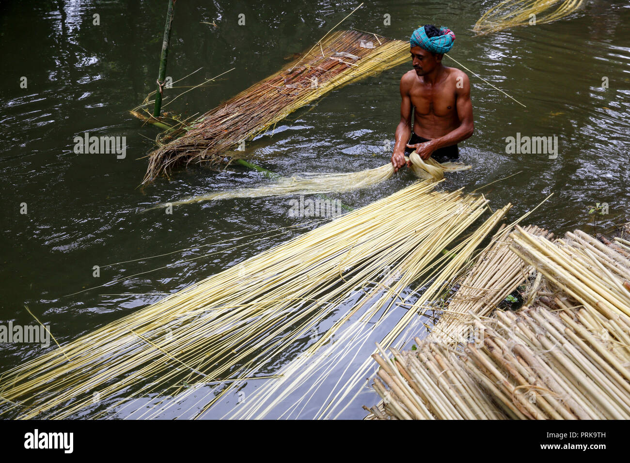 Farmer washing jute fibres in hi-res stock photography and images - Alamy