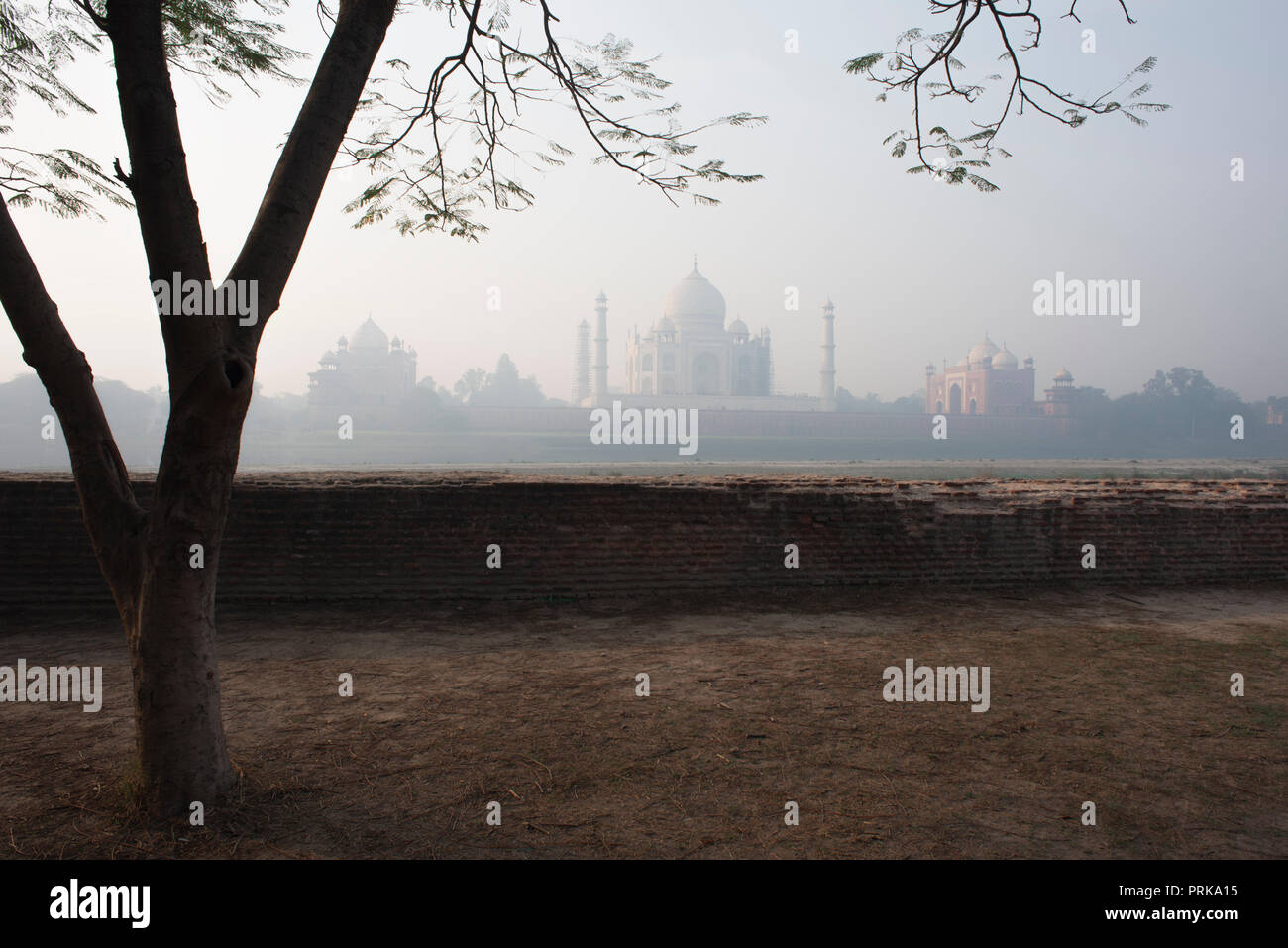 Taj mahal framed trees hi-res stock photography and images - Alamy