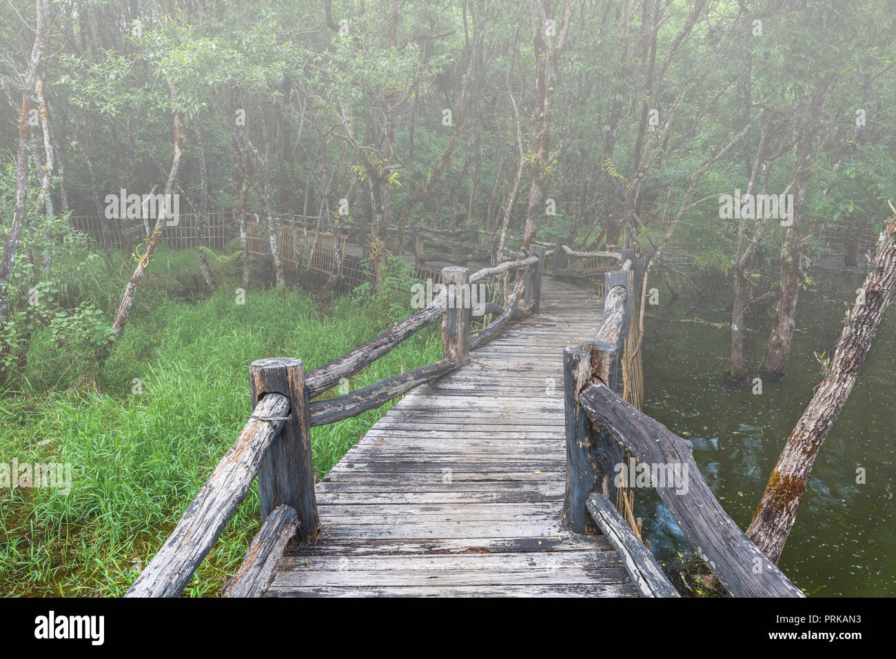 Wooden pathway that lead to the wood Stock Photo - Alamy