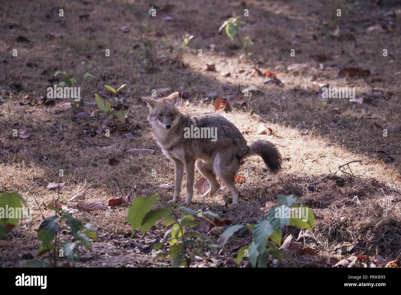 Marking area hi-res stock photography and images - Alamy