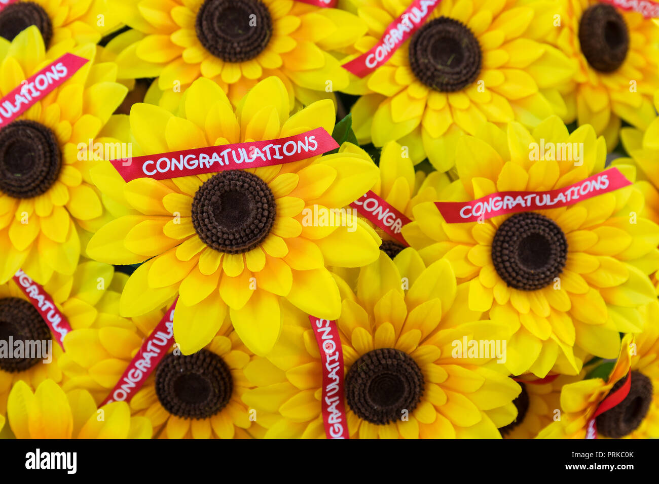 Artificial sunflowers with red congratulations ribbon on it Stock Photo ...