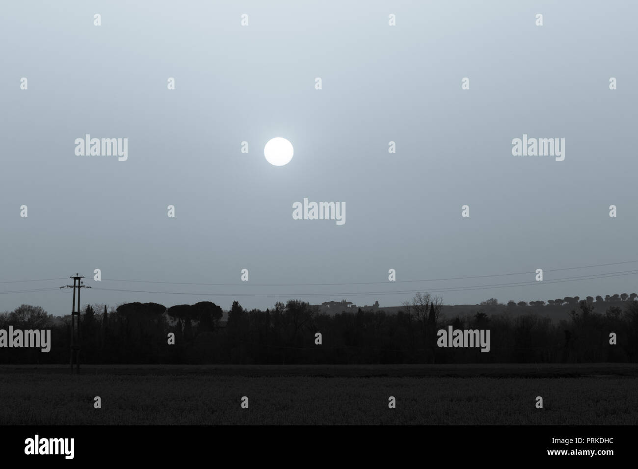 Sunset over trees silhouettes and power lines, filtered through a cold ...