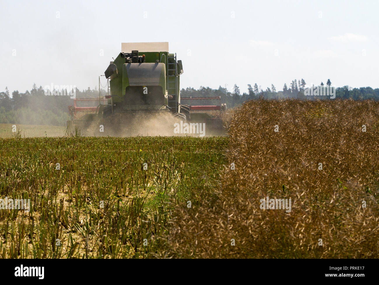 Big combine is working on a field for crop of canola Stock Photo - Alamy