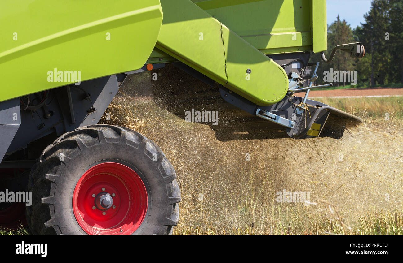 Big combine is working on a field for crop of canola Stock Photo - Alamy