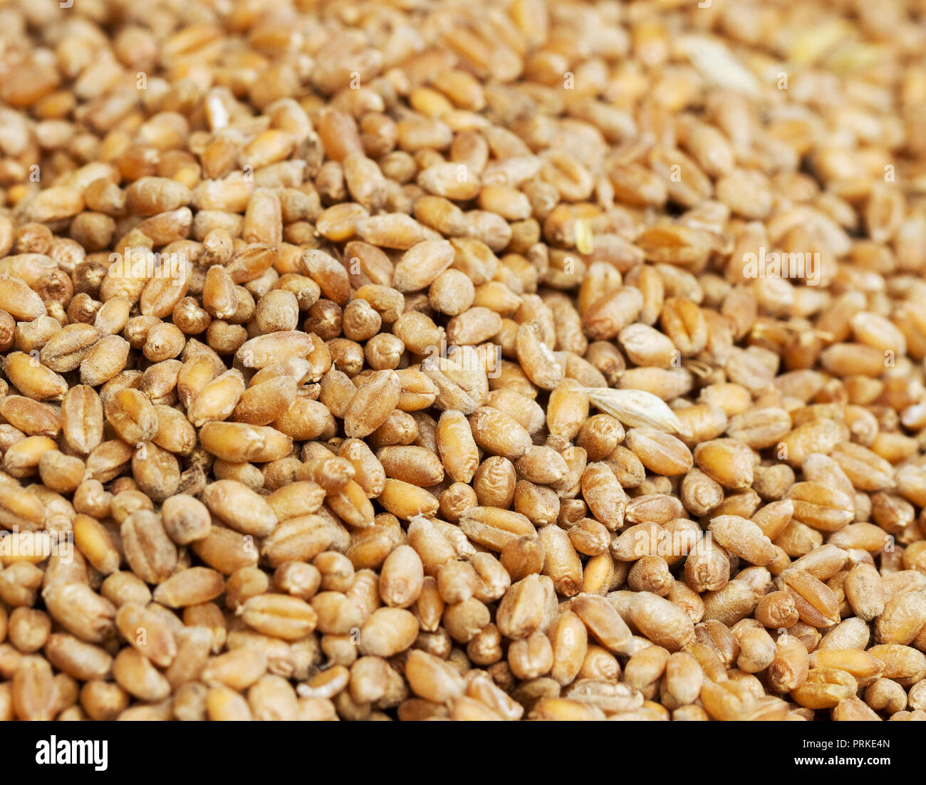 Natural surface of ripe grain Stock Photo - Alamy