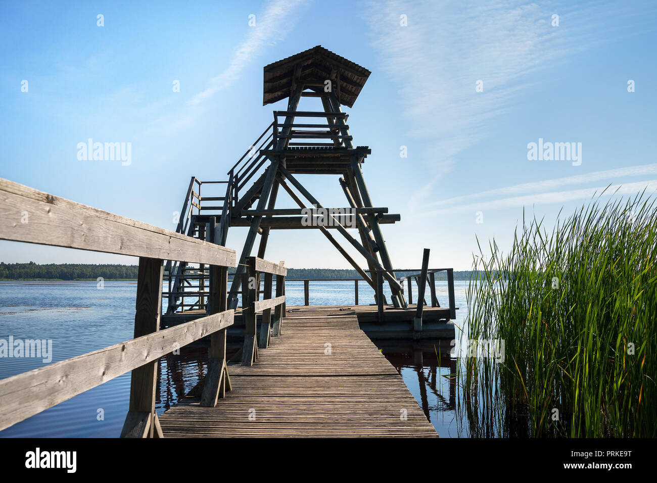 Marsh lake with wooden tower Stock Photo - Alamy