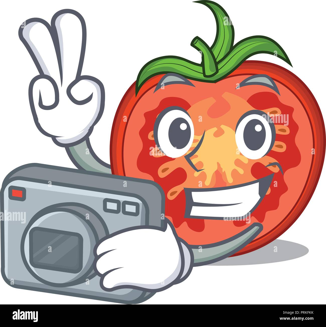 Photographer cartoon fresh tomato slices for cooking vector ...