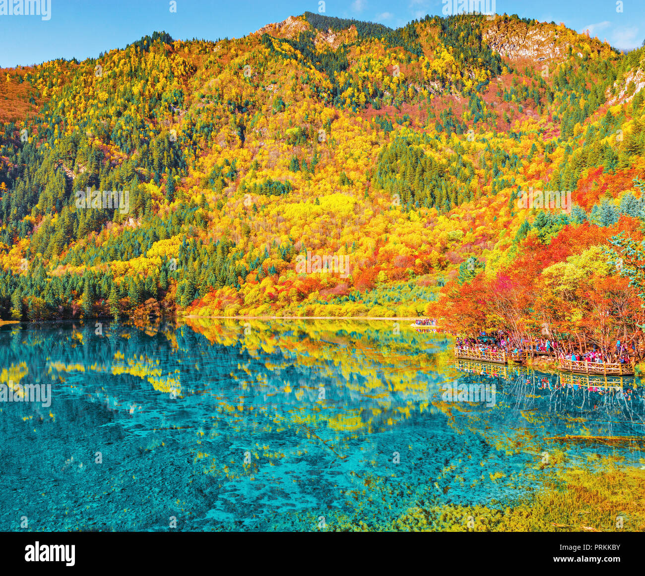 Five Flower Lake at autumn sunrise time. Jiuzhaigou nature reserve ...