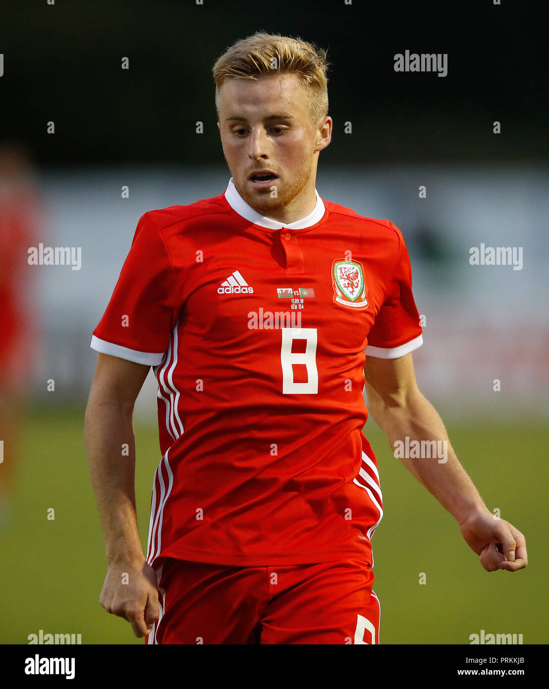 Wales' Joe Morrell Stock Photo - Alamy