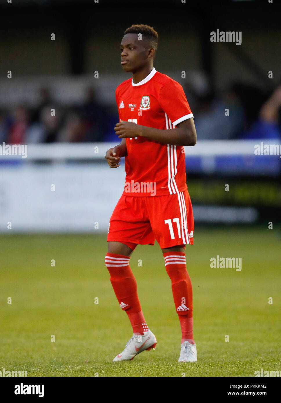 Wales' Rabbi Matondo Stock Photo - Alamy