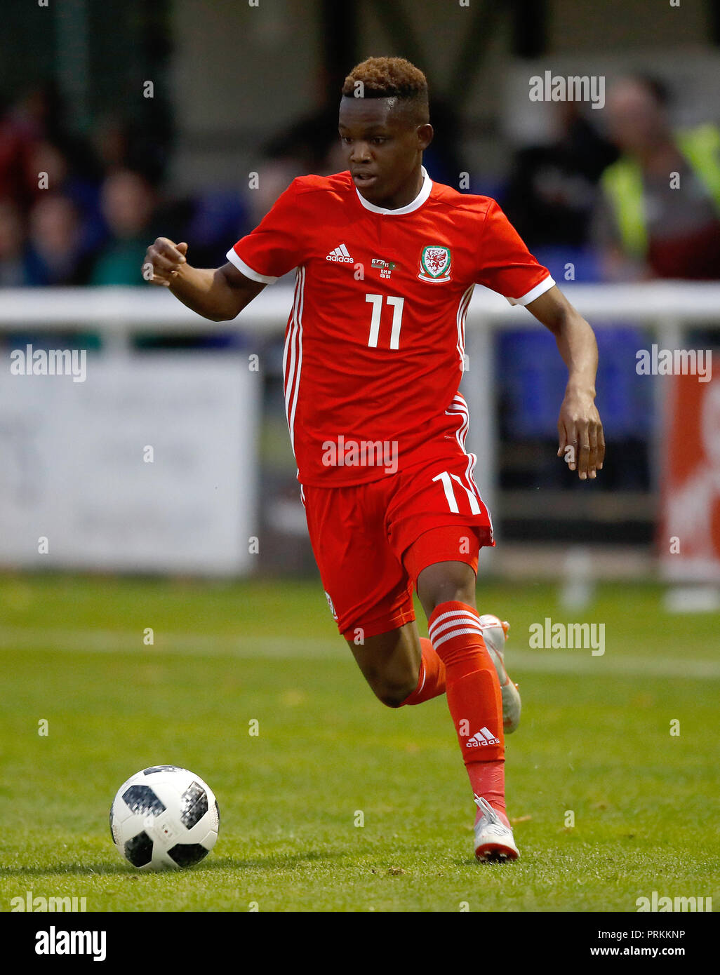 Wales' Rabbi Matondo Stock Photo - Alamy