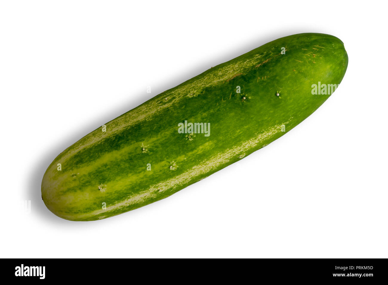 Cucurbita sativus Cut Out Stock Images & Pictures - Alamy
