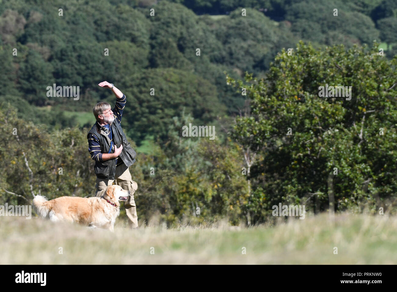 Man throwing ball for dog hi-res stock photography and images - Alamy