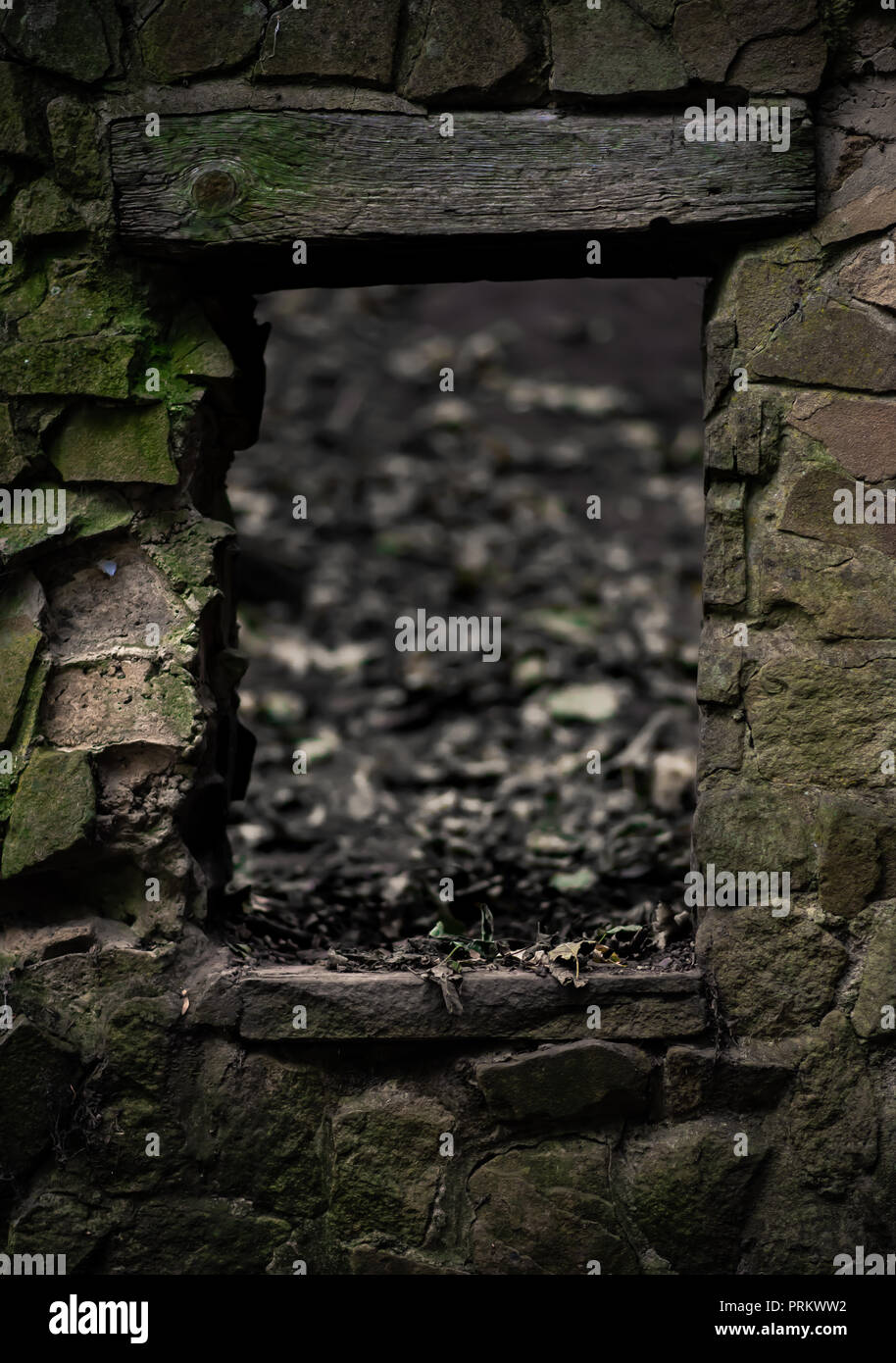 Wooden stone trunk ancient hi-res stock photography and images - Alamy