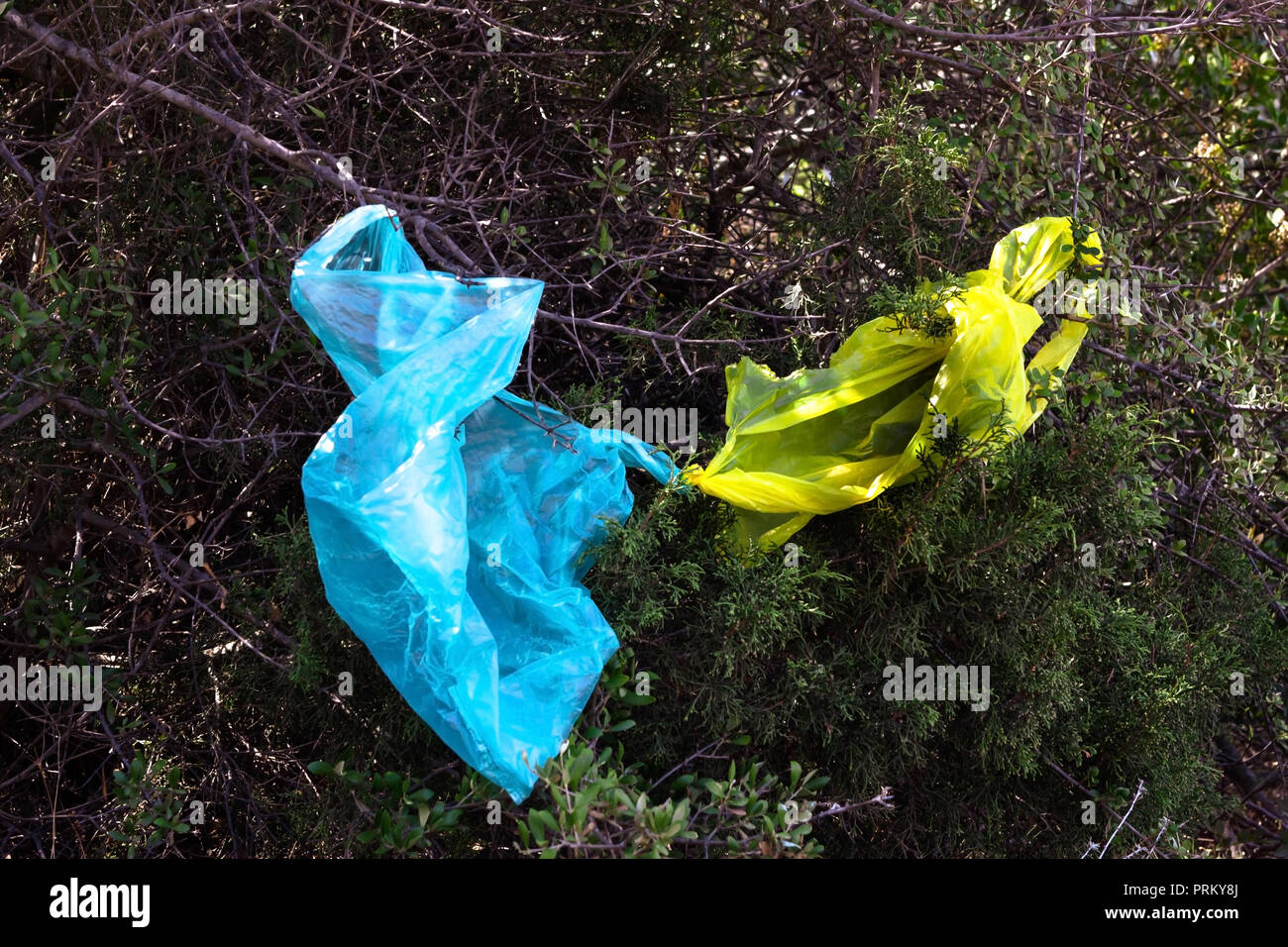 Plastic bag pollution tree hi-res stock photography and images - Alamy