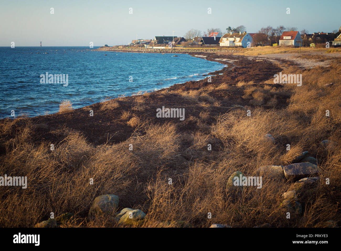 seashore in Sweden Stock Photo - Alamy