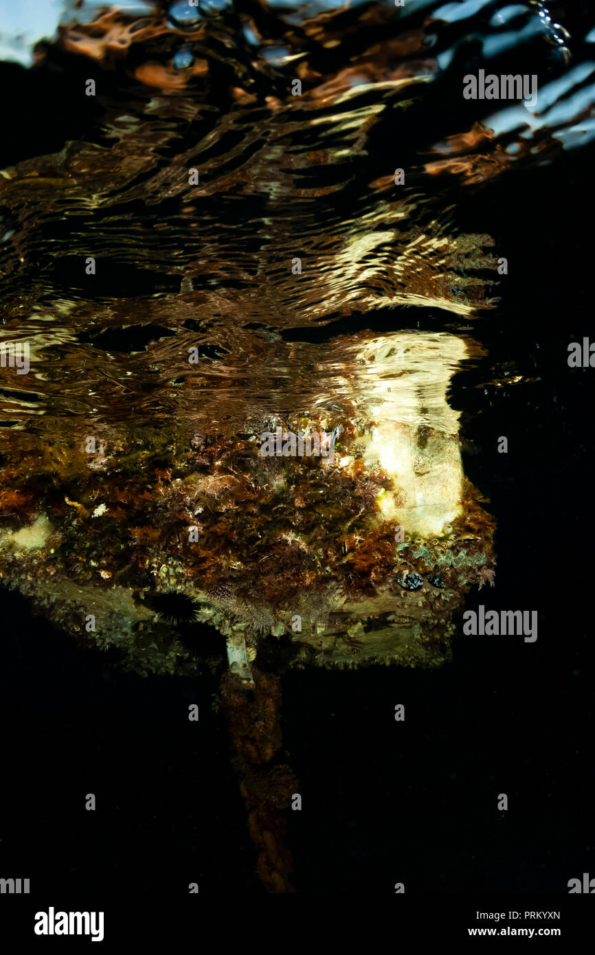 Floating container hi-res stock photography and images - Alamy