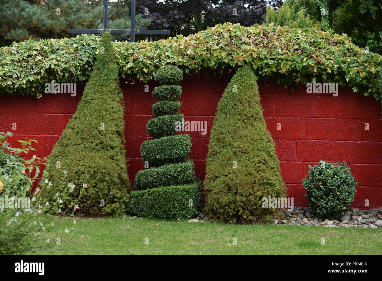 Topiary against a red brick wall Stock Photo - Alamy