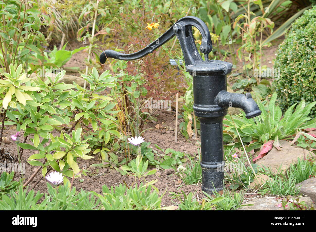 Garden water pump Stock Photo - Alamy