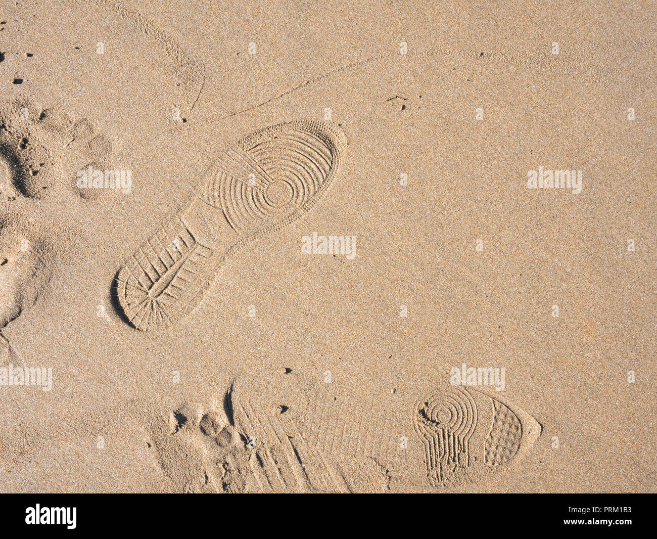 Footprints in damp sand at Newquay. Tracker fund, trail of evidence ...