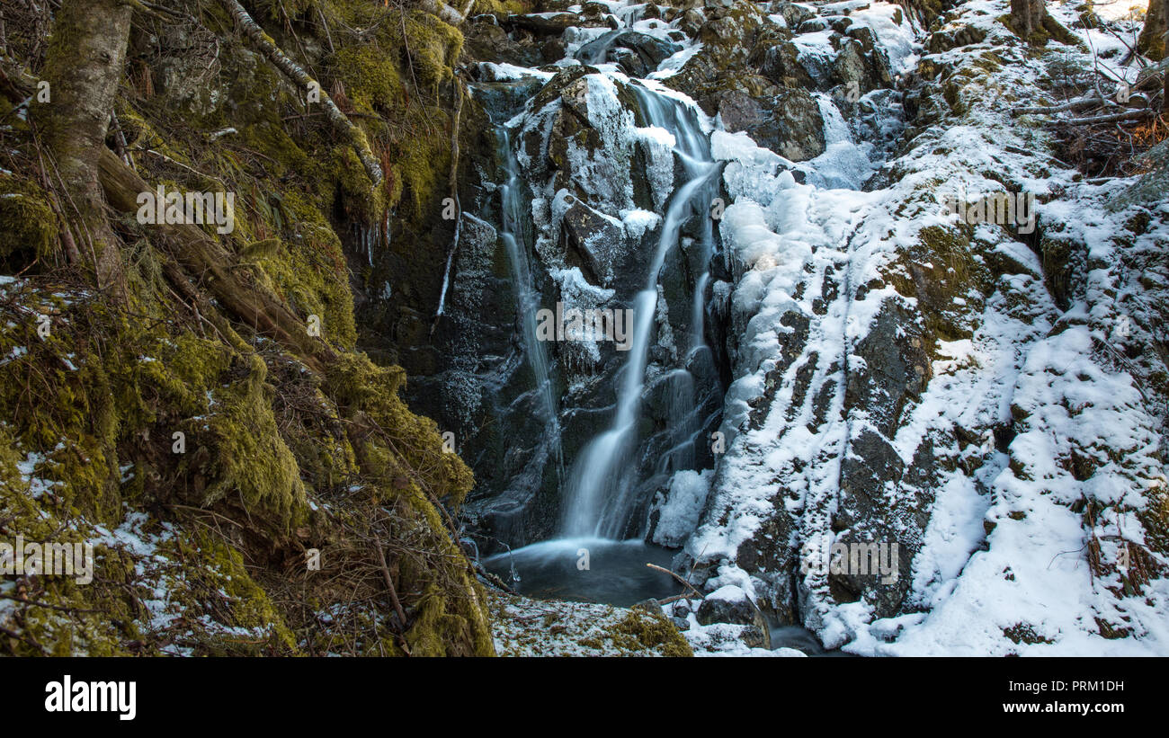 Icy, frozen waterfall with tree roots and snow in Norway Stock Photo ...