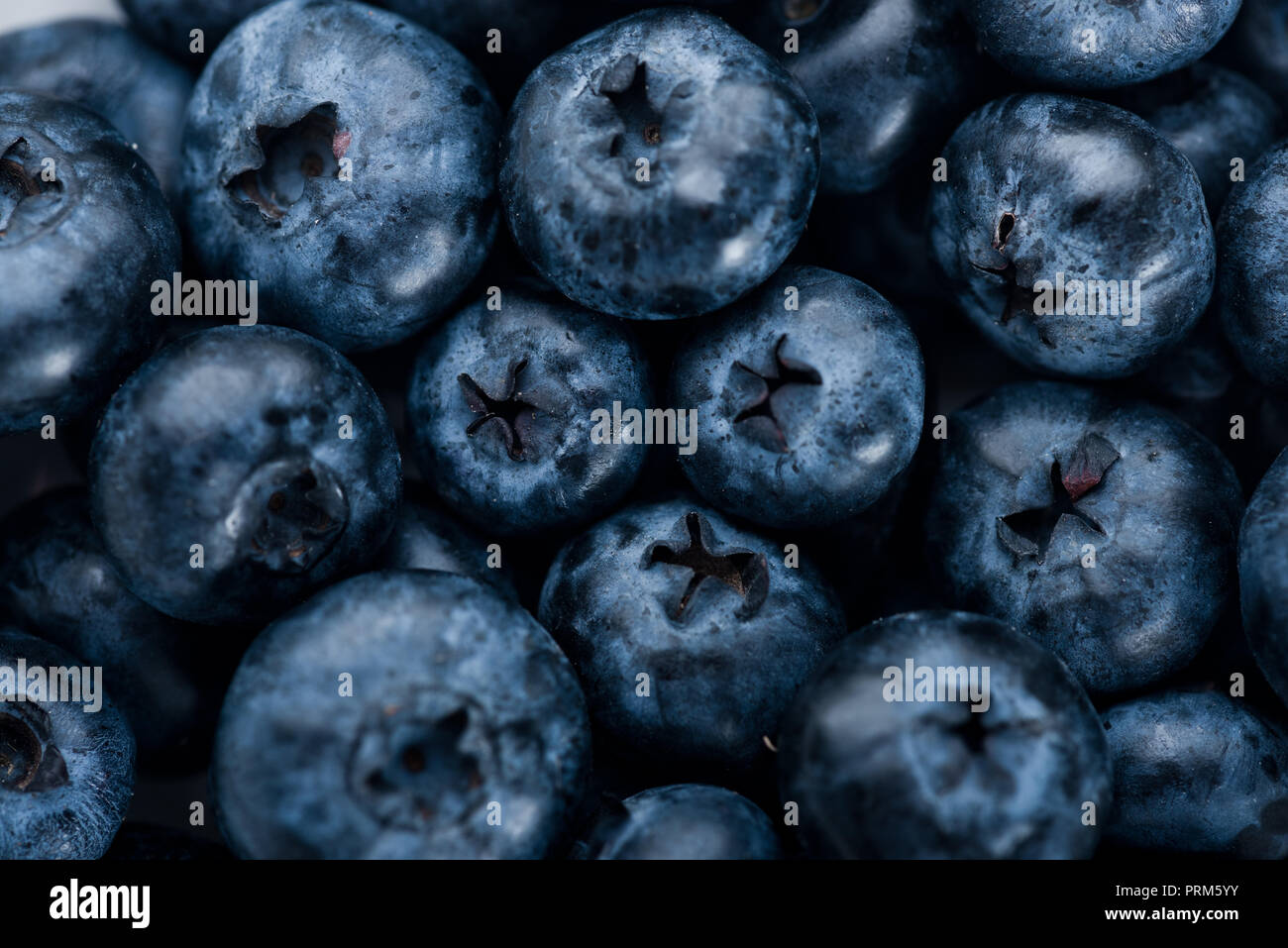 Fresh blueberry background. Texture blueberry berries Stock Photo - Alamy