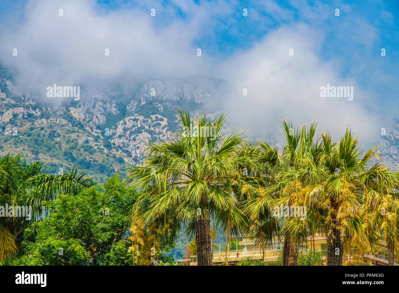 Landscape view over Monte Carlo, Monaco with mountains in the ...