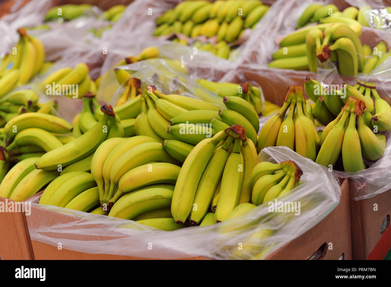 Banana boxes hi-res stock photography and images - Alamy