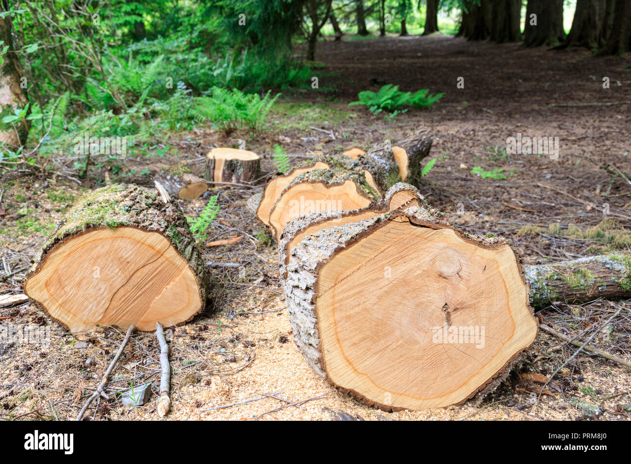 Sections of hi-res stock photography and images - Alamy