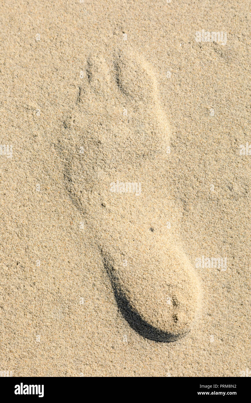 Single footprint in sand on beach Stock Photo - Alamy