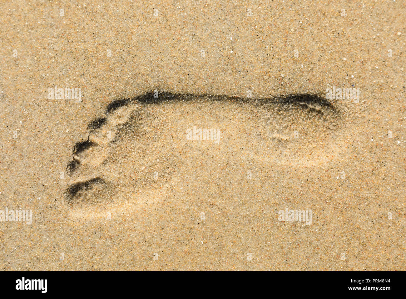Single footprint in sand on beach Stock Photo - Alamy