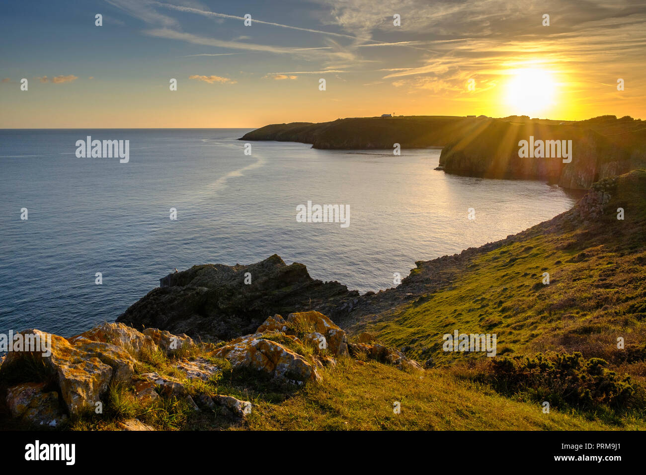 Lydstep cliffs hi-res stock photography and images - Alamy