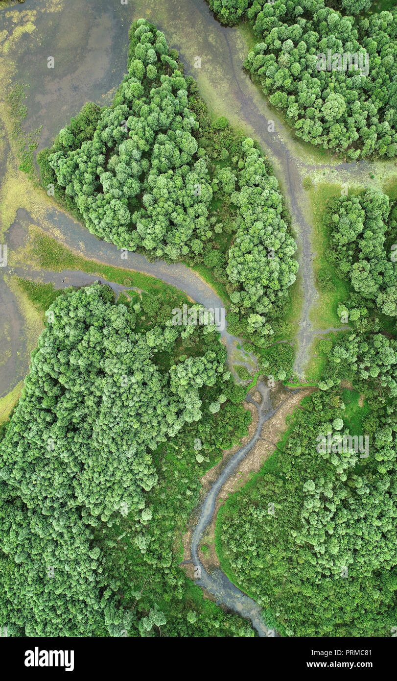 Aerial landscape - natural river Stock Photo - Alamy