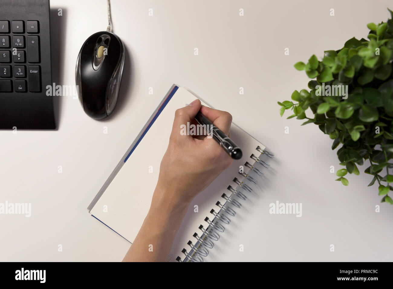 Woman's hands with pen writing on notebook. Modern grey office desk ...