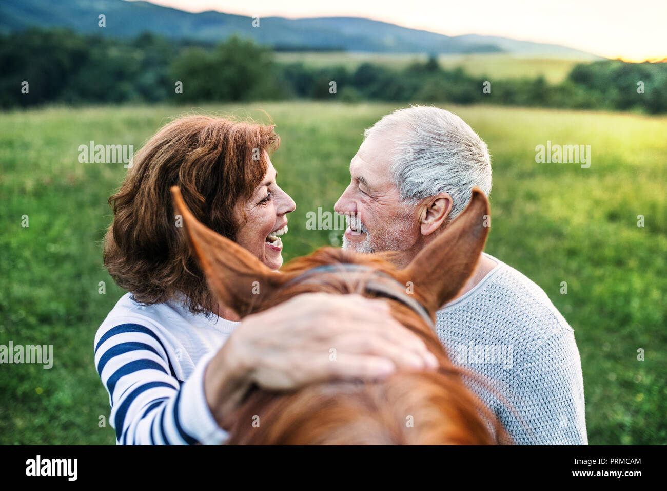 Crazy old woman hi-res stock photography and images - Alamy
