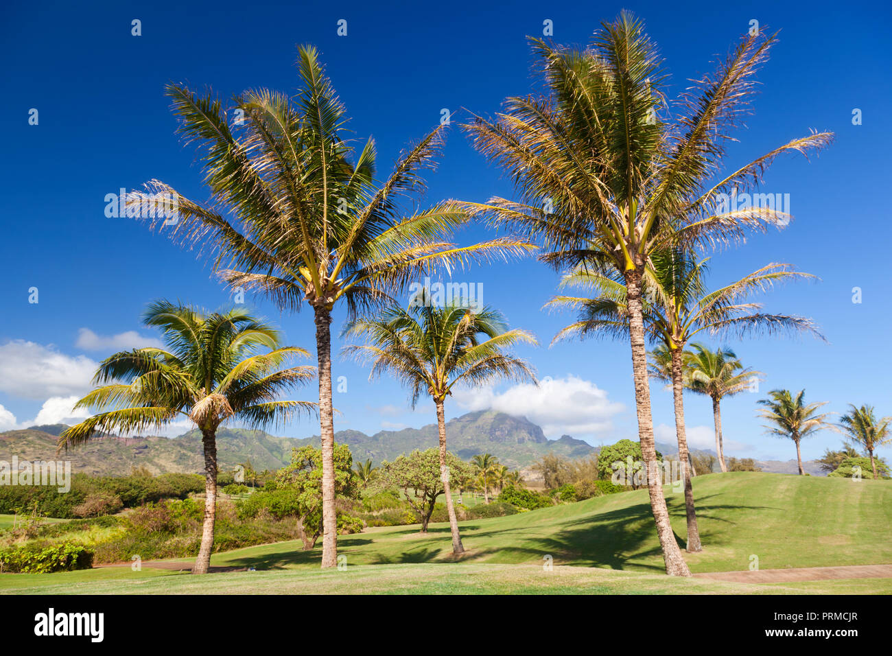Hawaii golf tourism hi-res stock photography and images - Alamy