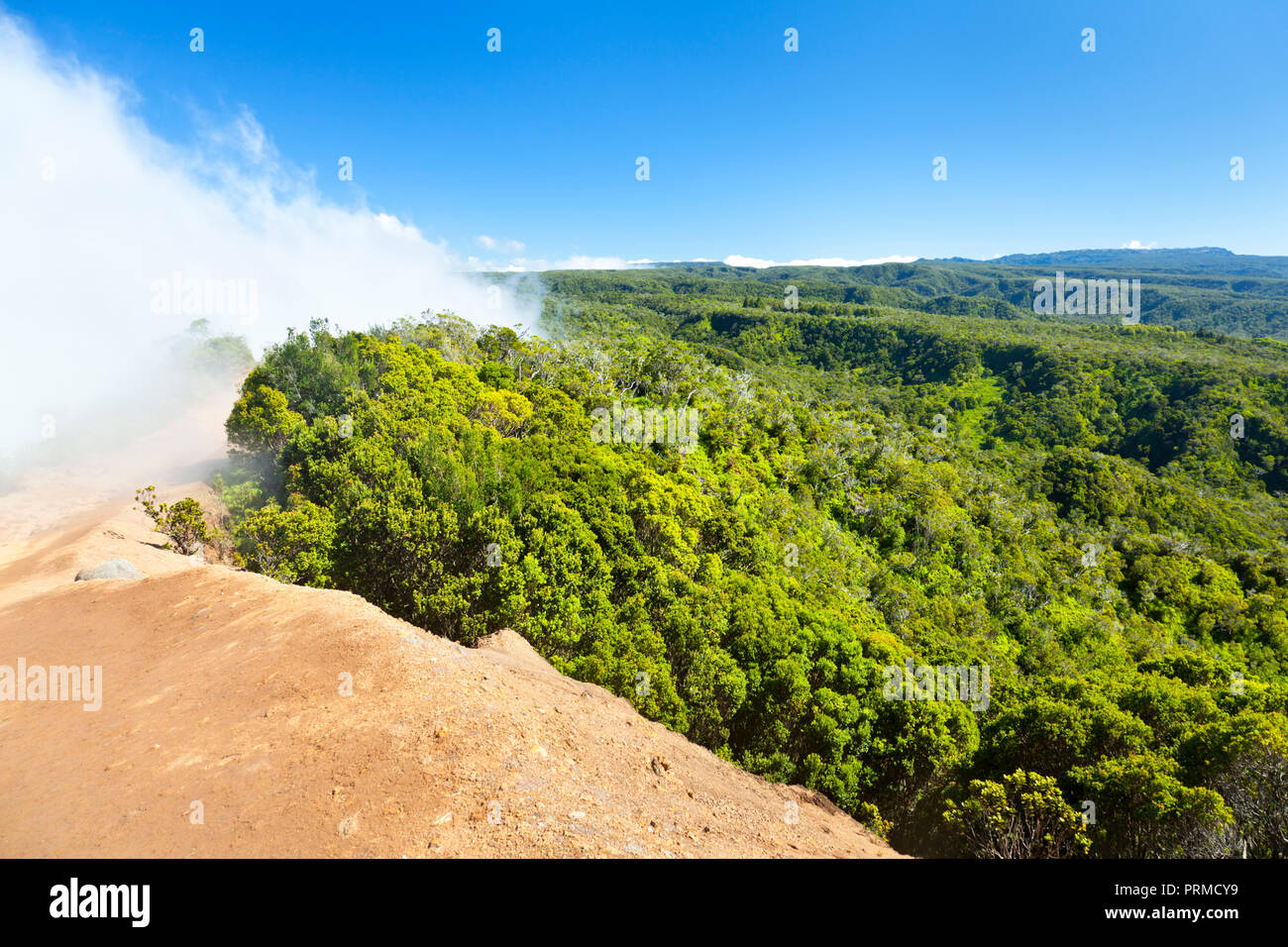 Kauai highlands, Hawaii. The path is the beginning of the Pihea Trail ...