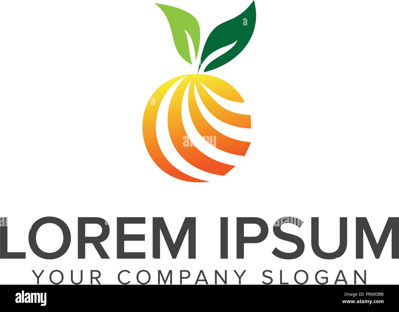 Orange fruit logo design concept template.Vector illustration on white ...