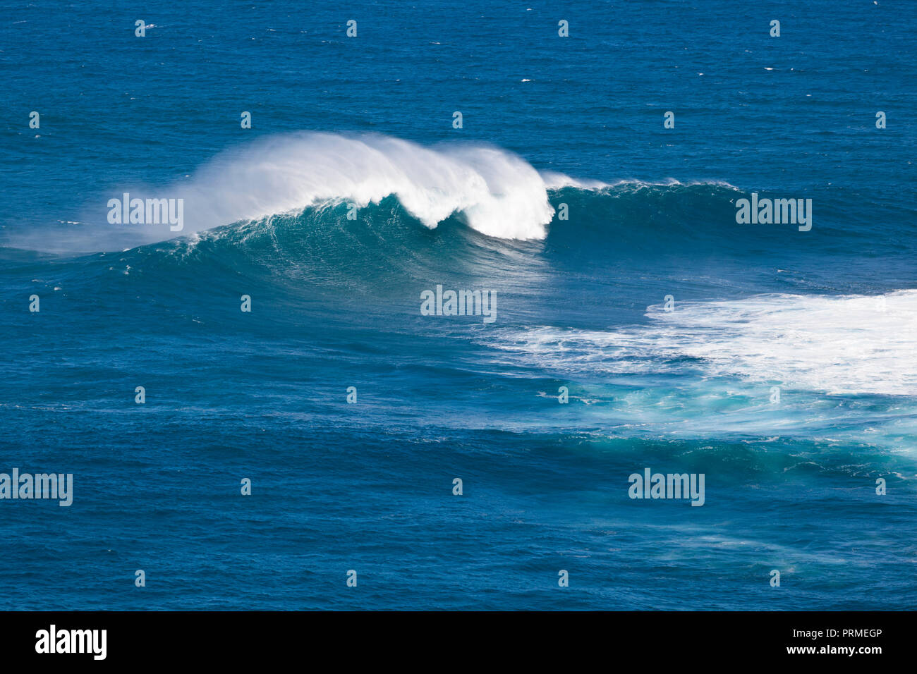 A tall wave at Peahi also known as Jaws in Maui, Hawaii Stock Photo - Alamy
