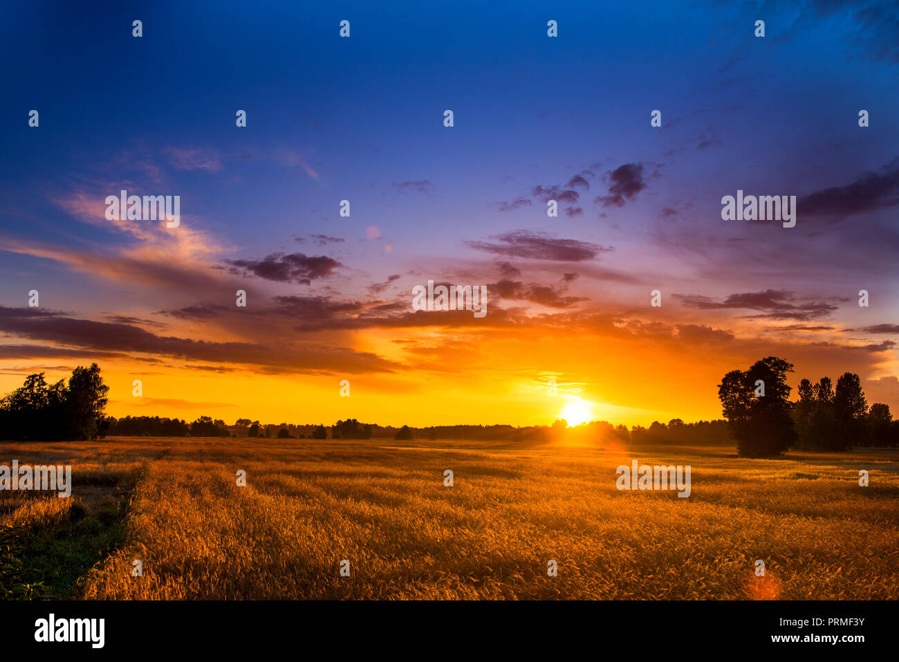 Beautiful dramatic sunrise over fields hi-res stock photography and ...