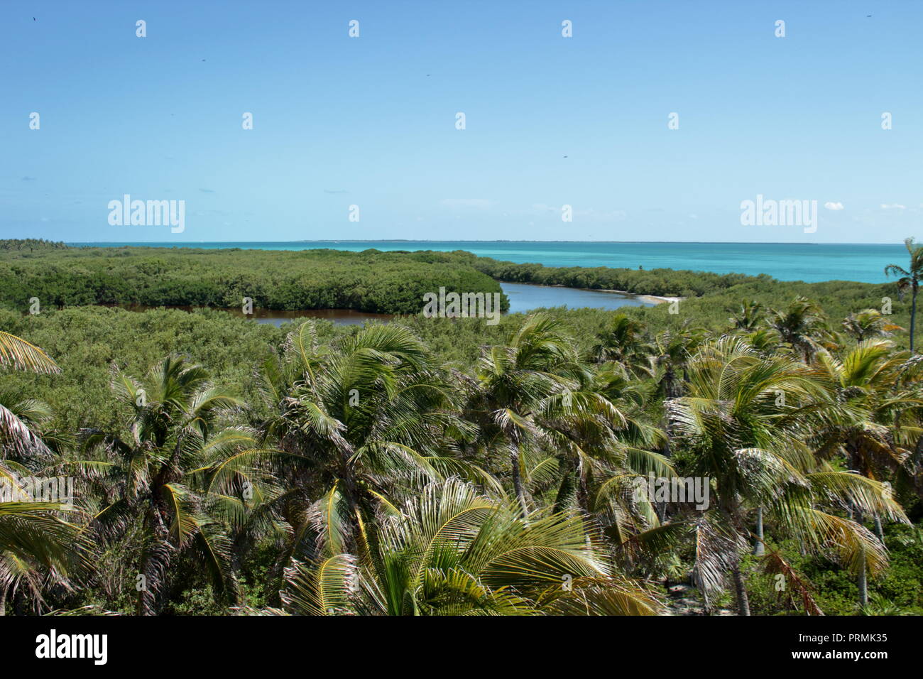 isla contoy located in the yucatan mexico, a desert island in the ...