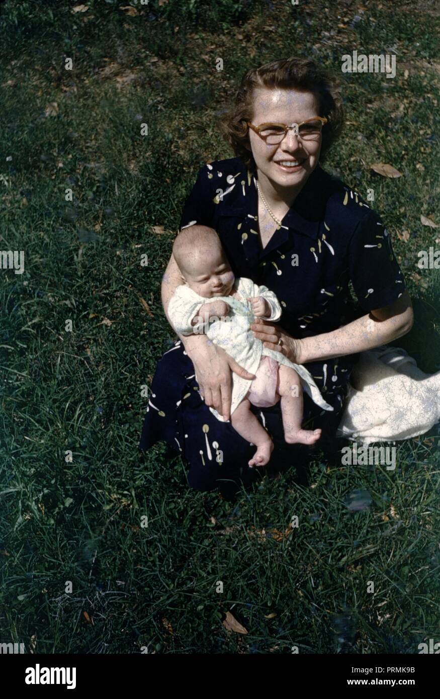 Vintage family tree hi-res stock photography and images - Alamy