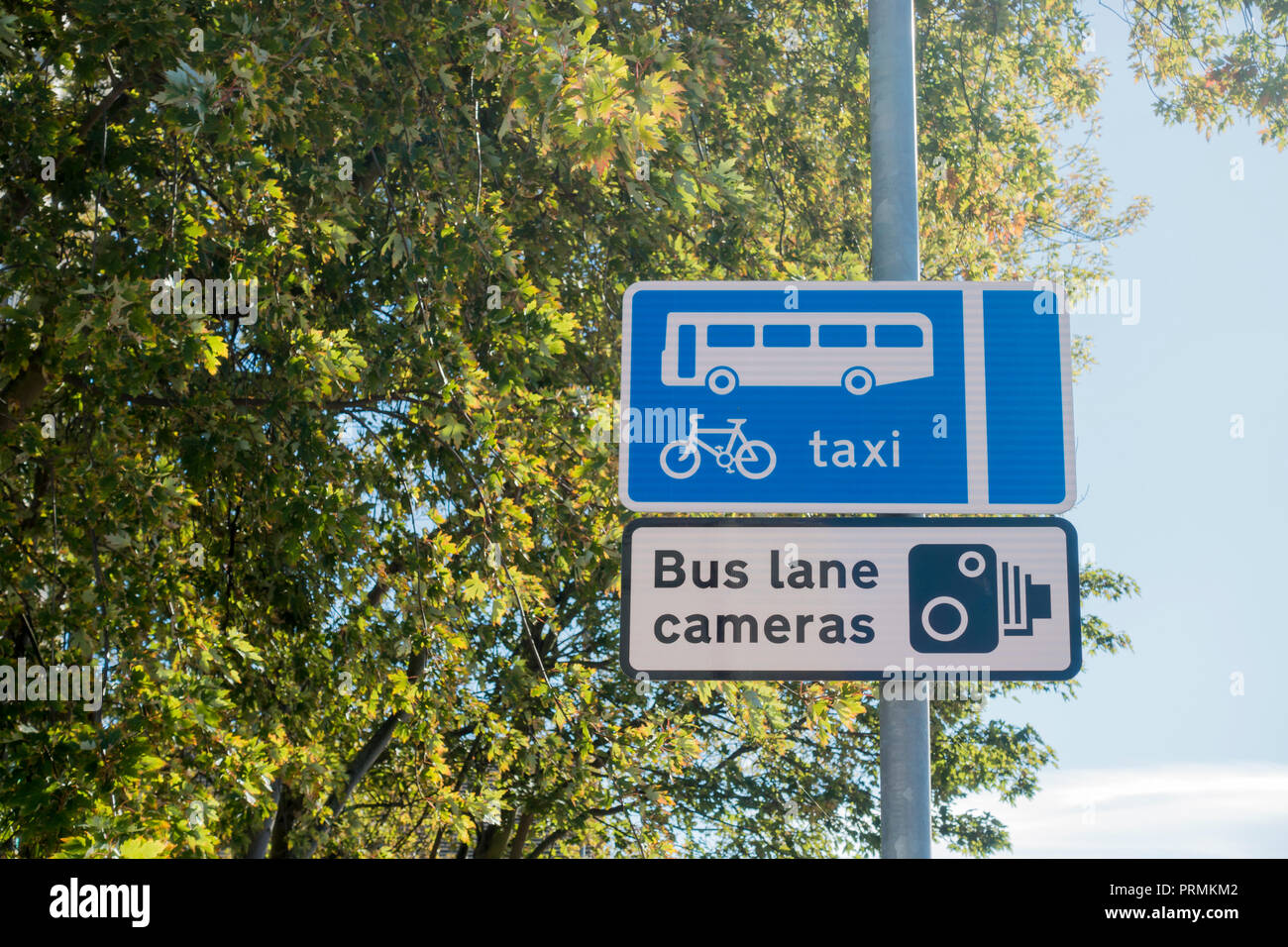 Bus taxi road sign hi-res stock photography and images - Alamy