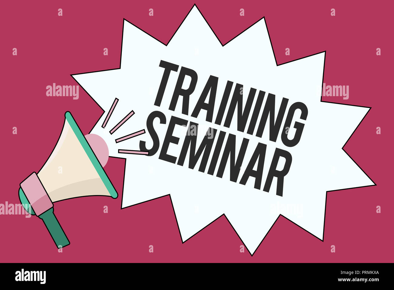 Text sign showing Training Seminar. Conceptual photo Academic ...