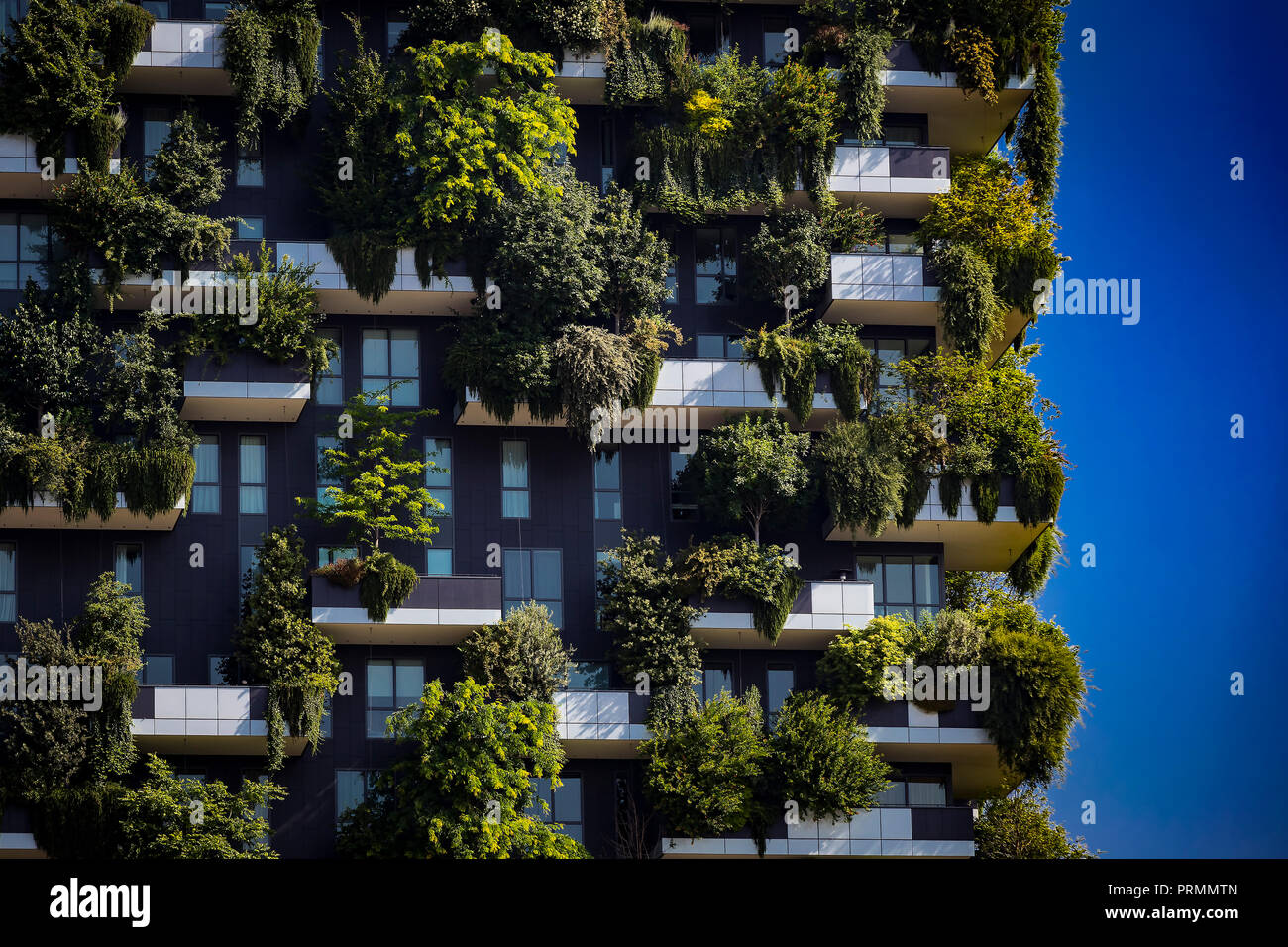 MILAN, ITALY - 6 JUNE 2018: Bosco Verticale.Two modern buildings ...