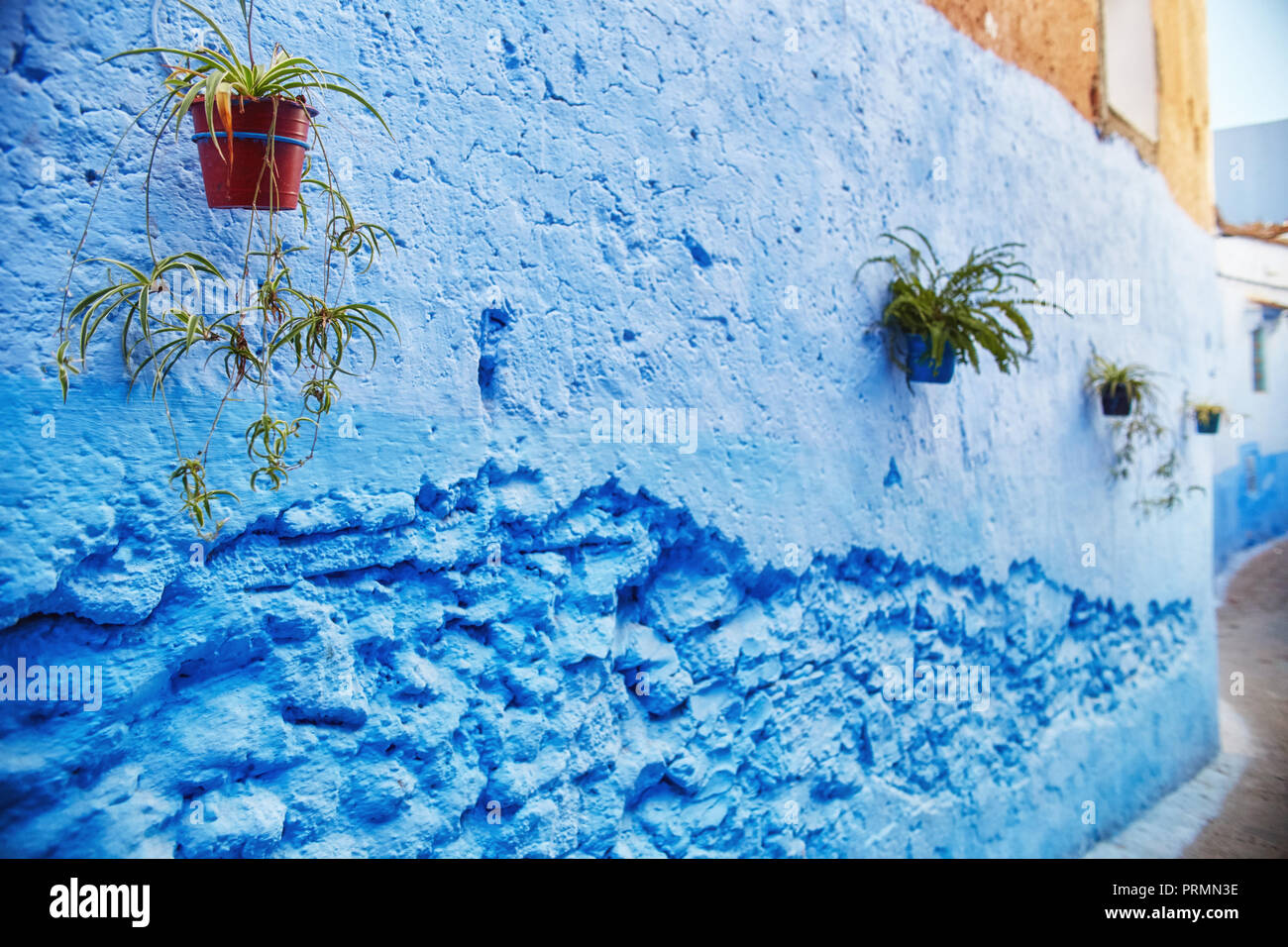 Morocco is the blue city of Chefchaouen, endless streets painted in ...