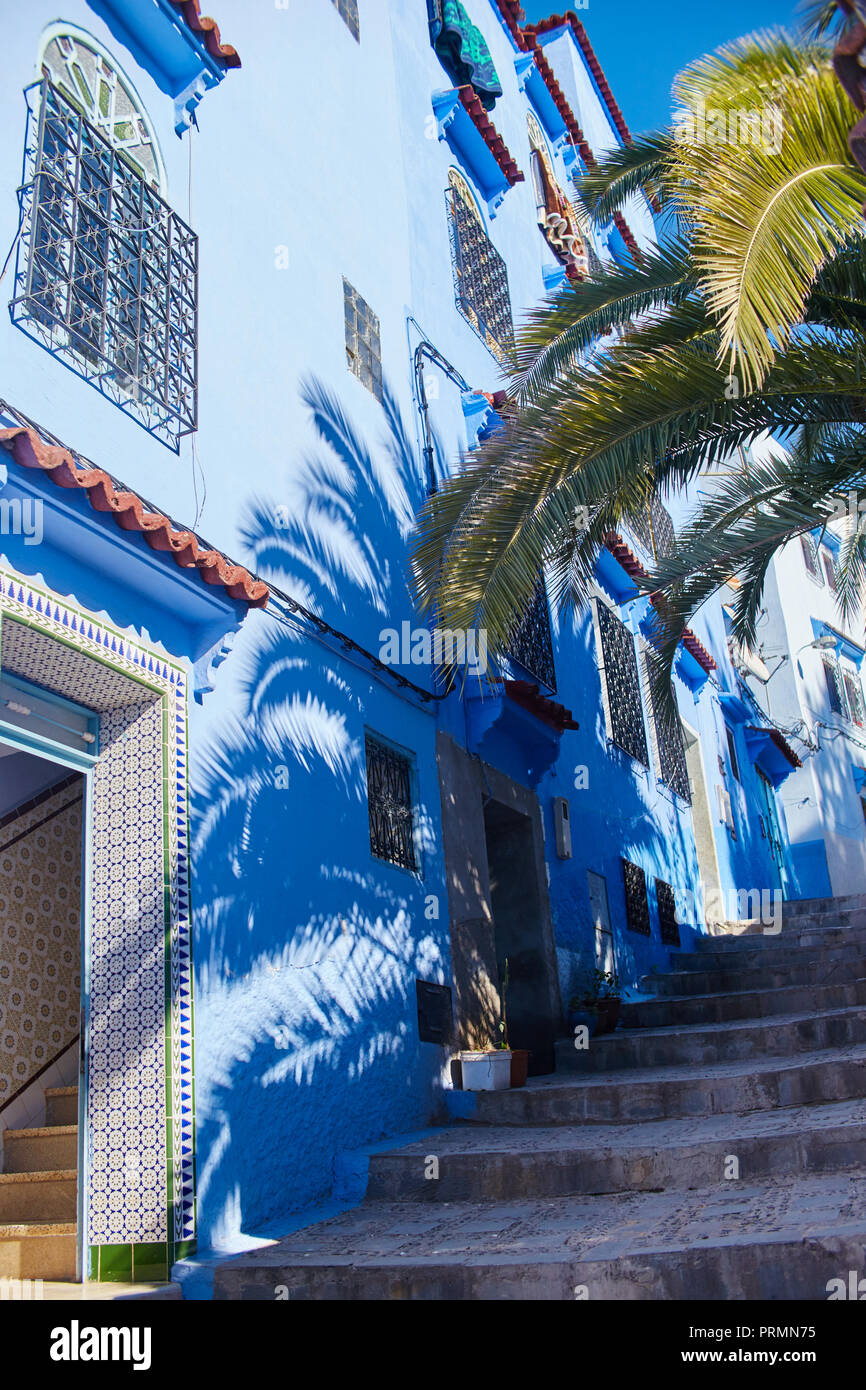 Morocco is the blue city of Chefchaouen, endless streets painted in ...
