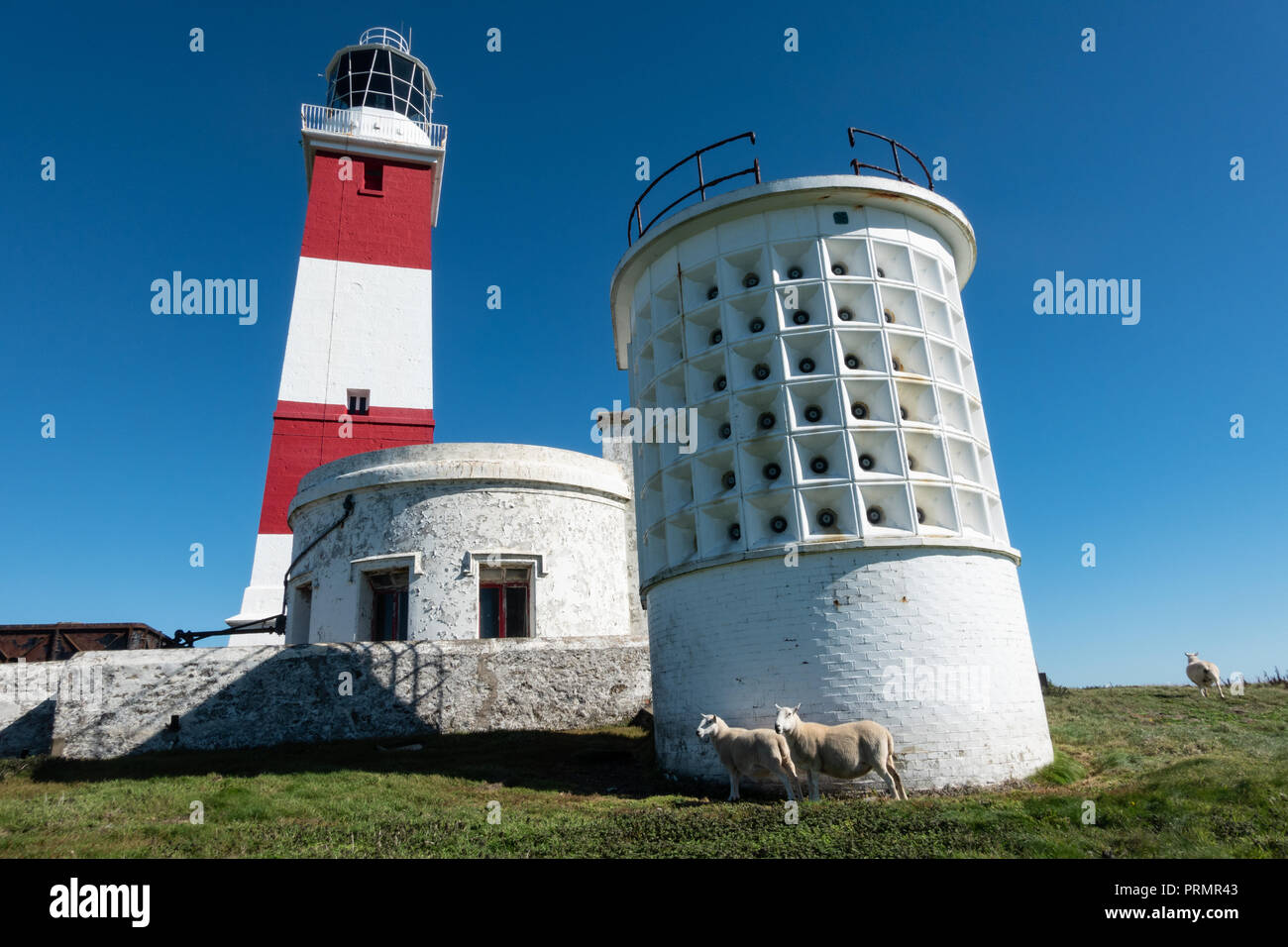 Bardsey island hi-res stock photography and images - Alamy