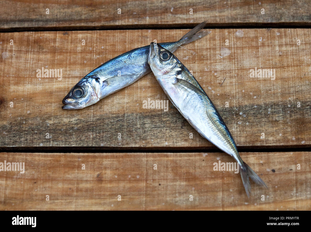 two fish at fish box Stock Photo - Alamy